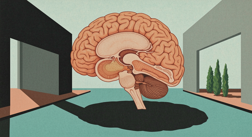 The Amazing Human Brain