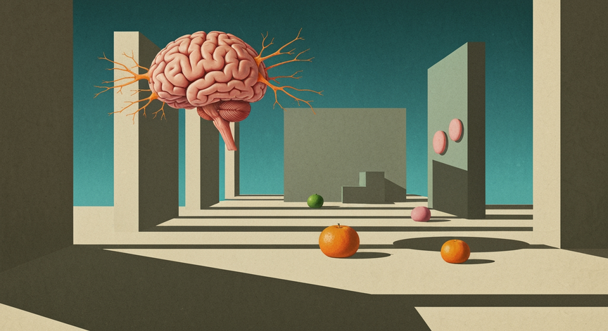 Brain Organoids and AI