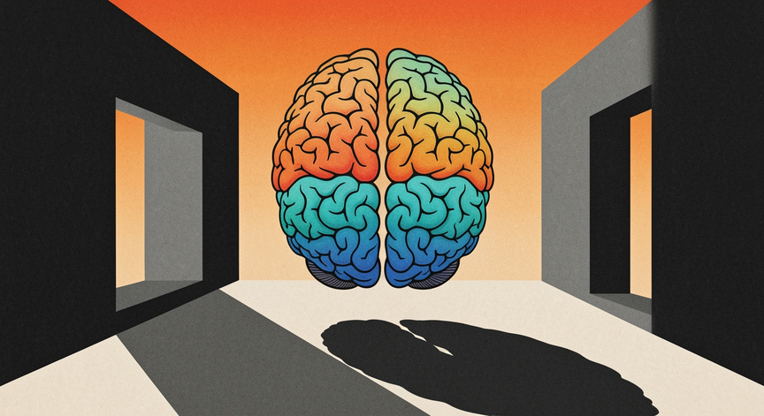 The Whole Brain Child Explained
