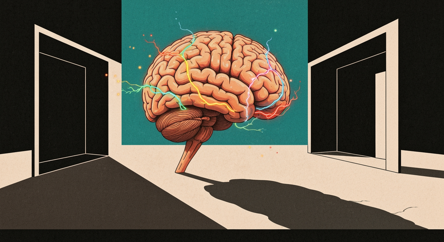 The Aging Brain and Its Stages