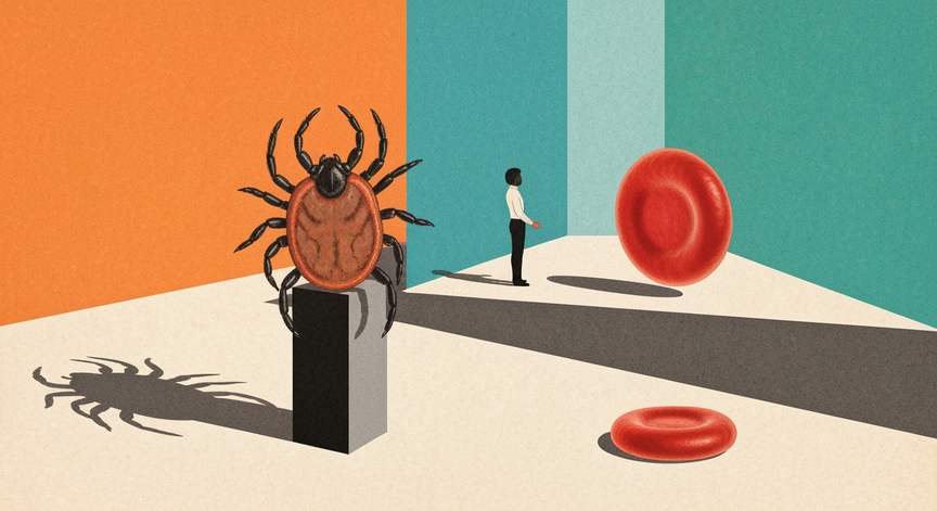 Causes and Risk Factors - Understanding Alpha-gal Syndrome