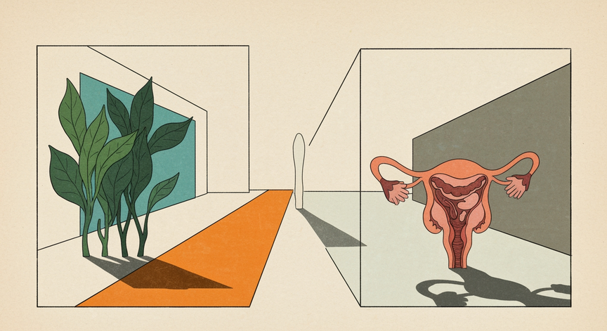 Female Reproductive System Physiology