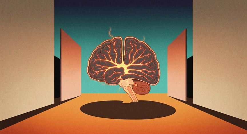 The Amazing Human Brain