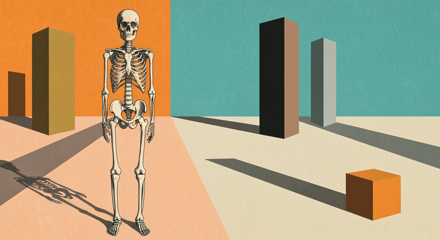 The Human Skeletal System