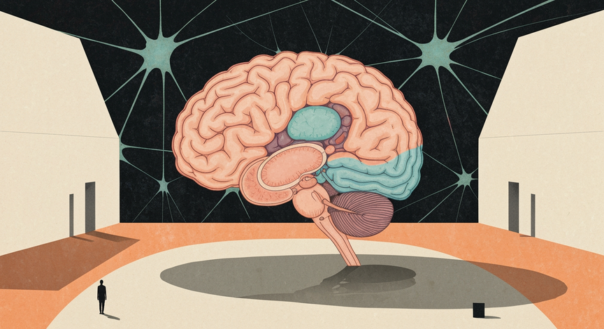 Sensory and Motor Pathways - Foundations of Neuroanatomy