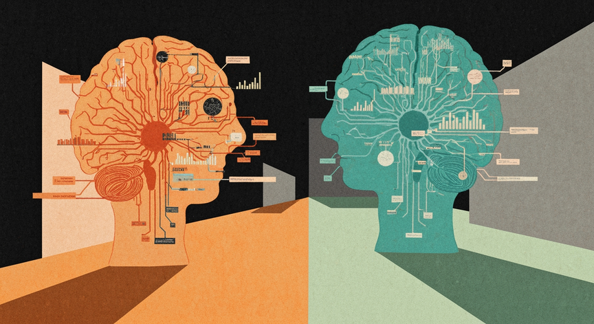 Brain Vision and AI