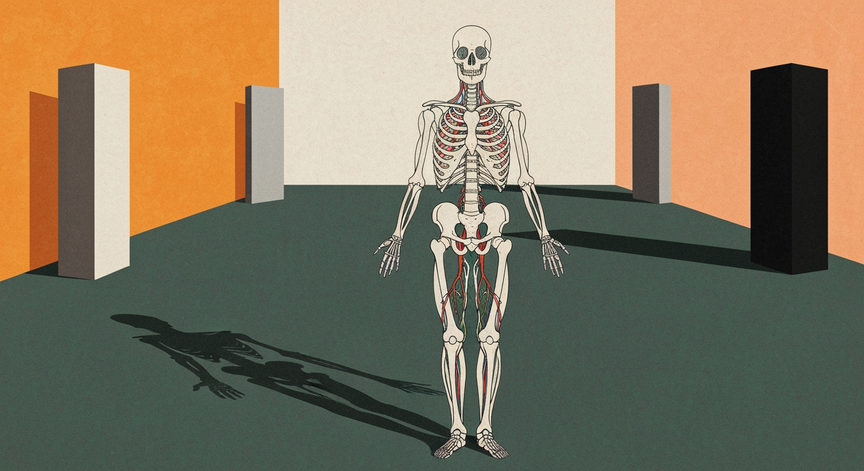Introduction to Human Anatomy