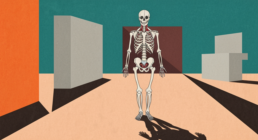 Foundations of Human Anatomy