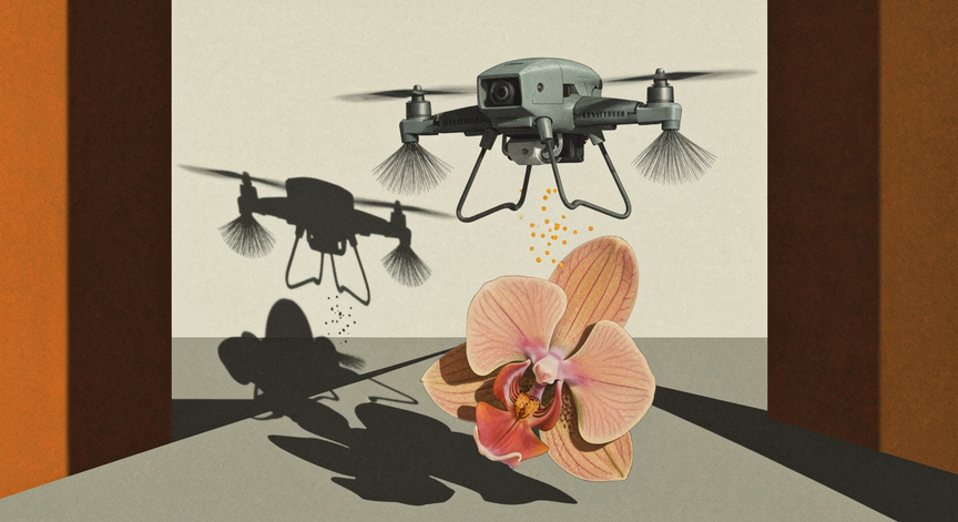 Advanced Pollination Systems and Precision Ecology