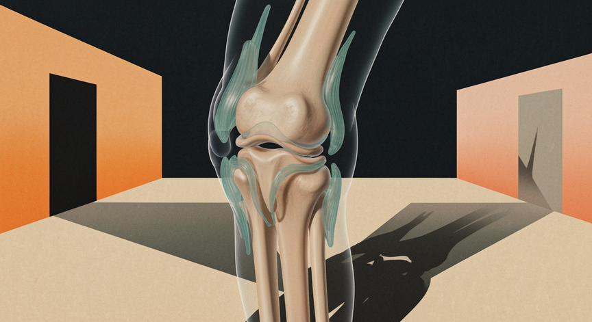 Skeletal Biomechanics and Joint Dynamics