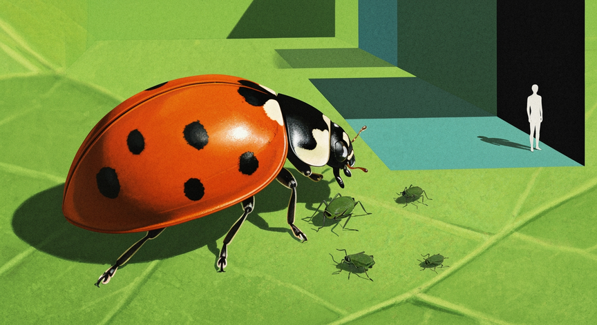 Biological Control and Pest Management Systems
