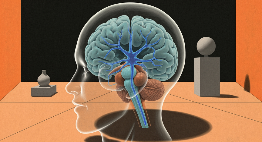 Ventricular System and CSF Dynamics