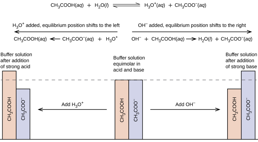 Acid-Base Reactions - Acids and Bases Explained - Acids and Bases Explained