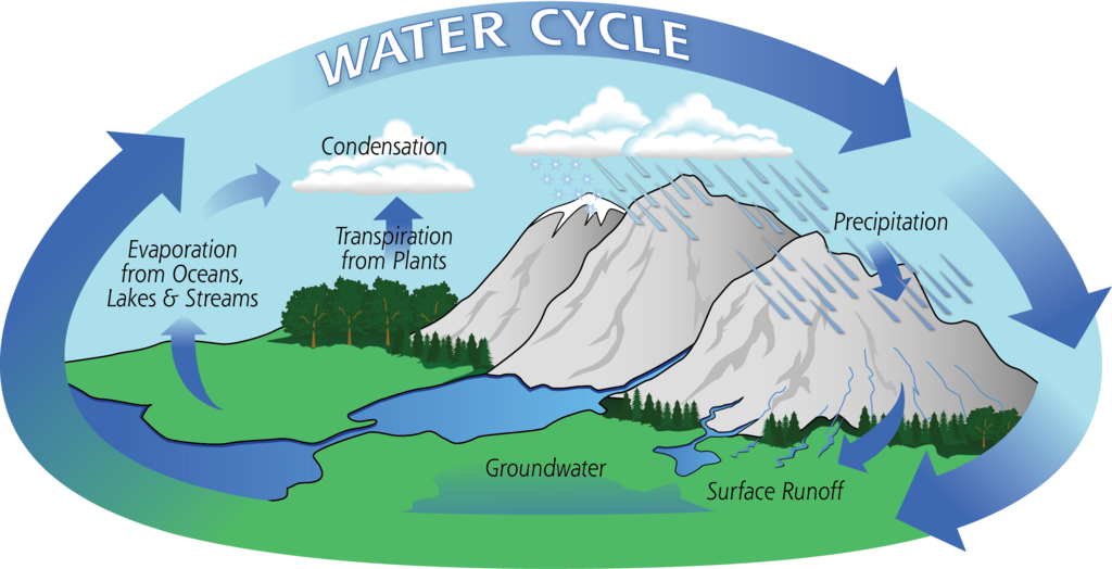 The Water Cycle - Earth's Biogeochemical Cycles Explained - Earth's ...