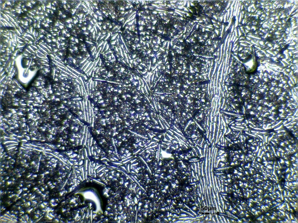 The Science of Exploding Trees in Extreme Cold
