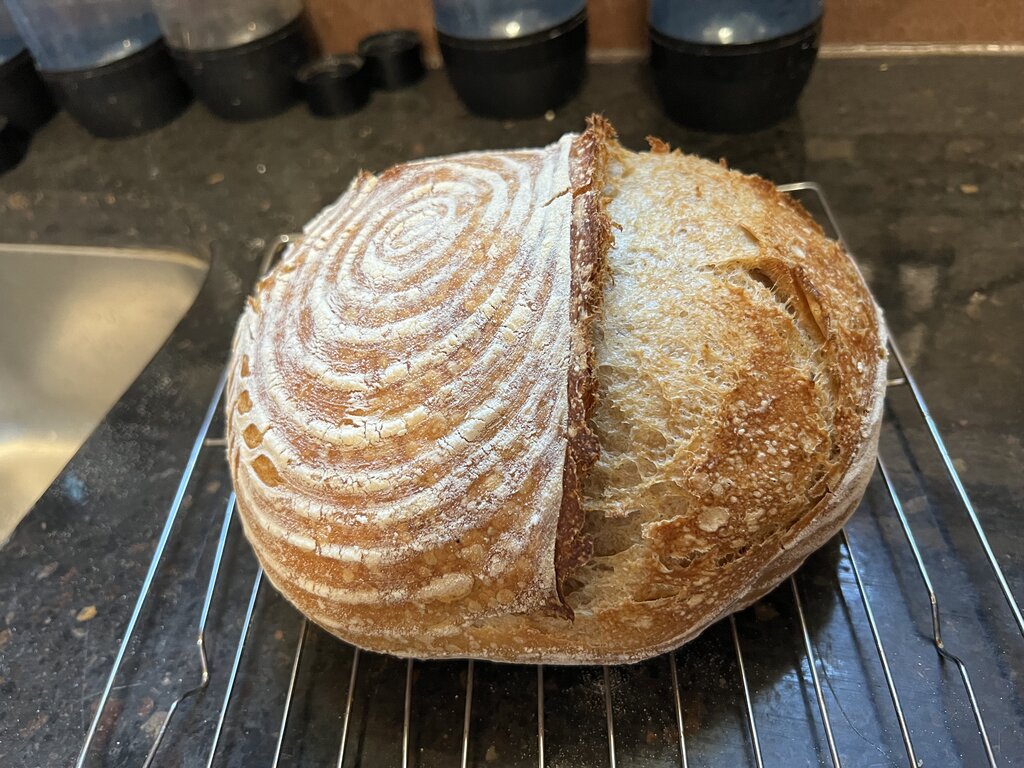 Crust Micro-Texture Engineering - Advanced Bread Engineering and ...