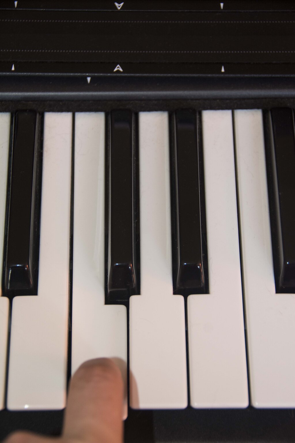 Beginner's Piano Journey