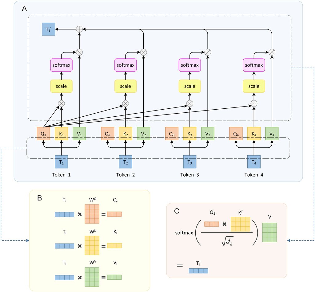 Transformer Architecture - The Inner Workings of Large Language Models