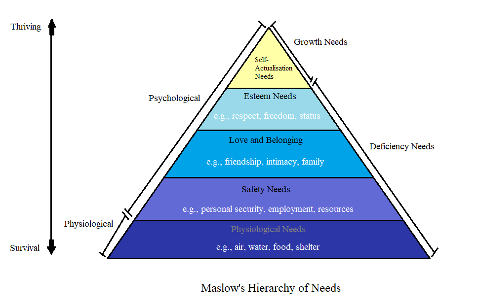 Exploring Levels and Lines of Development - The AQAL Model Explained ...
